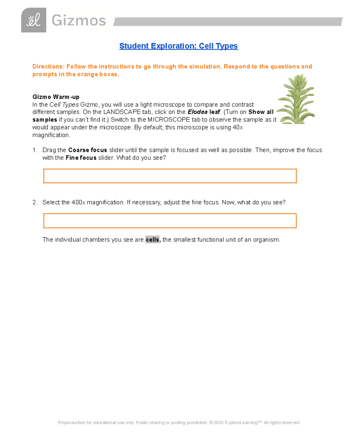 Bassett Woltz - Cell Types and Scale Student Exploration - 15658542 ...