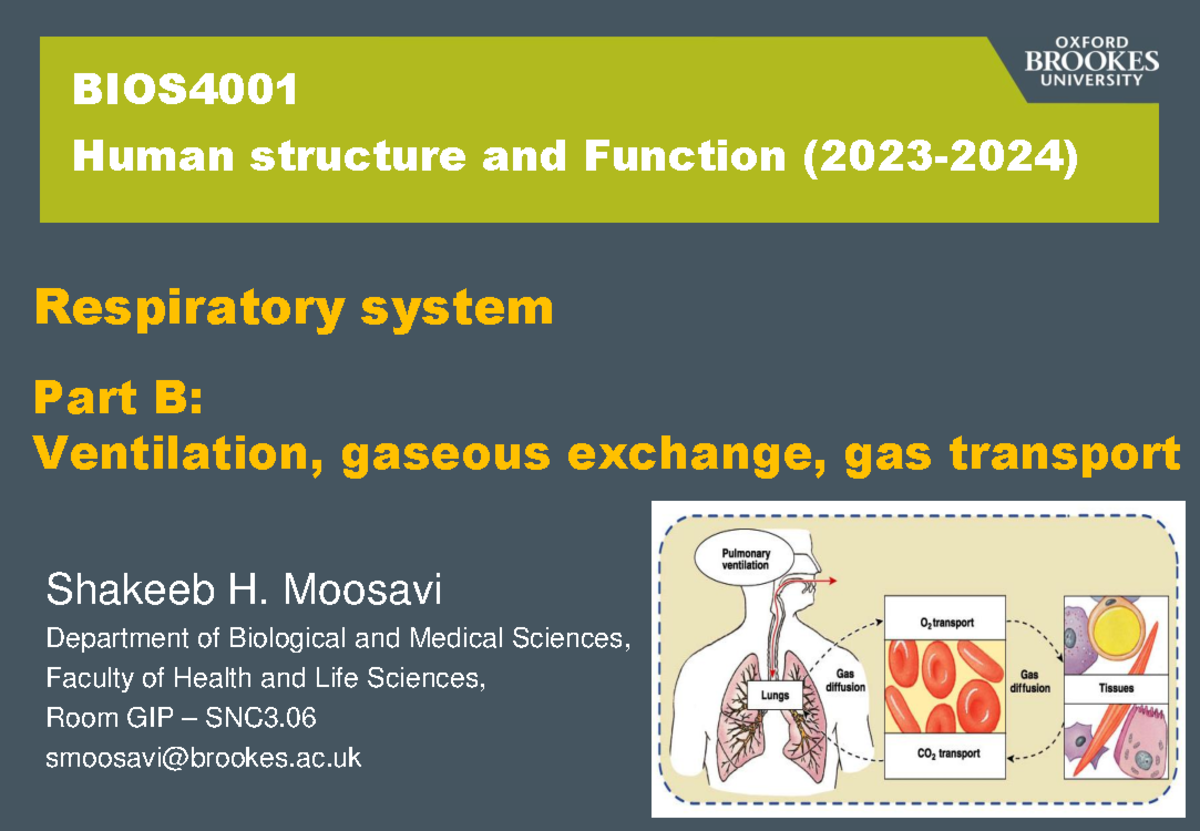 BIOS4001 S1 2023 2024 Respiratory system Part B SHM - BIOS Human ...