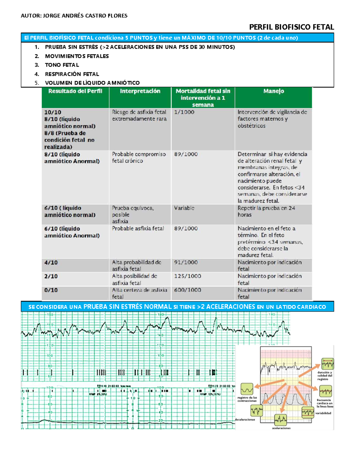 Perfil biofisico fetal - PERFIL BIOFISICO FETAL El PERFIL BIOFÍSICO ...