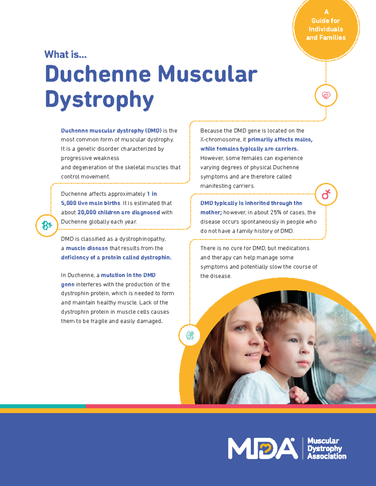 MDA DMD Fact Sheet Oct 2020 - Duchenne muscular dystrophy (DMD) is the ...