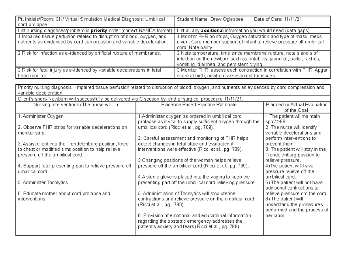 Care Plan Form (5) 2Care plan - Pt. Initials/Room: CH/ Virtual ...