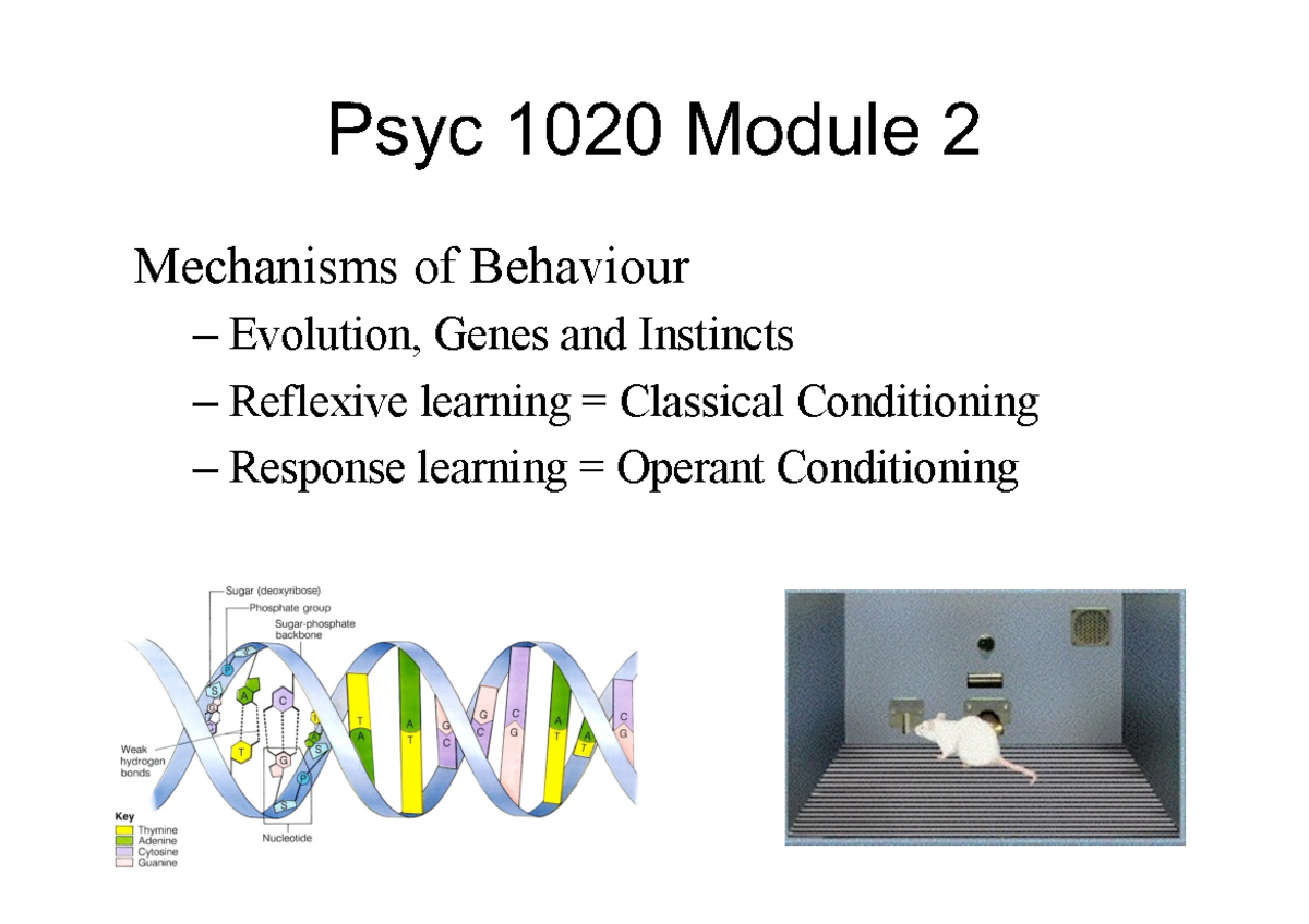Psyc 1020 2022 Lecture week 4 - Psyc 1020 Module 2 Mechanisms of Behaviour – Evolution, Genes ...
