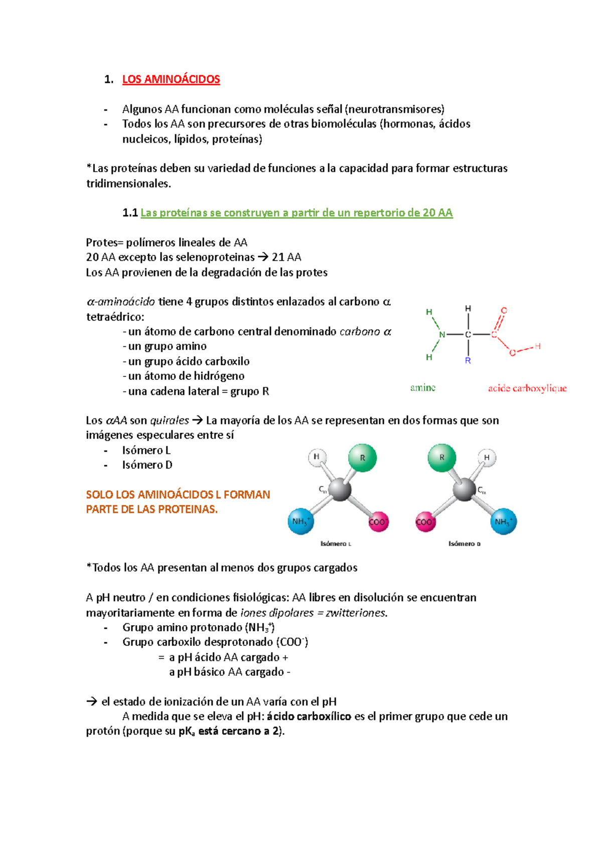 Teoria Bioquímica - 1. LOS AMINOÁCIDOS Algunos AA funcionan como ...