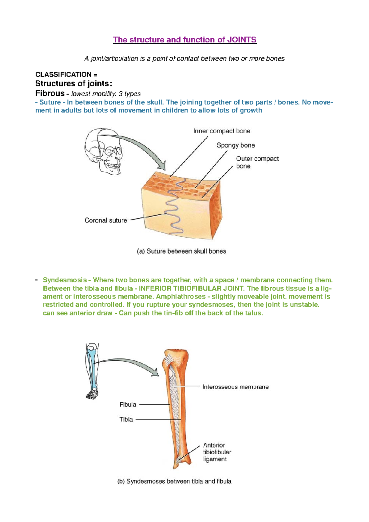 Structure and Function of joints - The structure and function of JOINTS ...