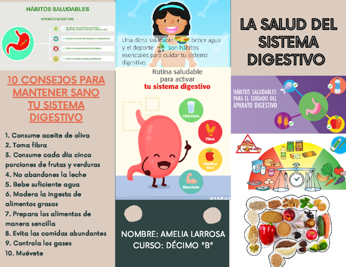 LA Salud EN EL Sistema Digestivo - LALA SALUDSALUD DELDEL SISTEMA ...