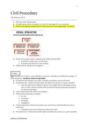 Pleadings Pack - For drafting of court documents - ANNEXURE: PLEADINGS ...