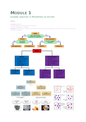 Module 3.3 prac effect of temperature and surface area on Rate of ...