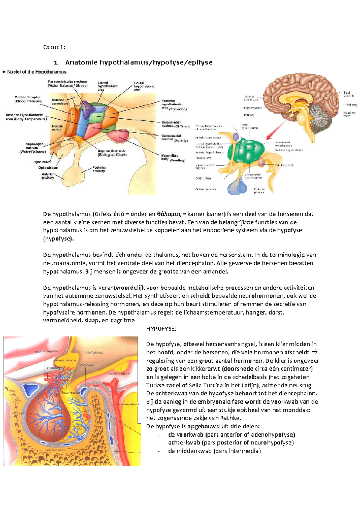 Casus 1 t/m 6 - Regulatie en Integratie - Casus 1: Anatomie ...