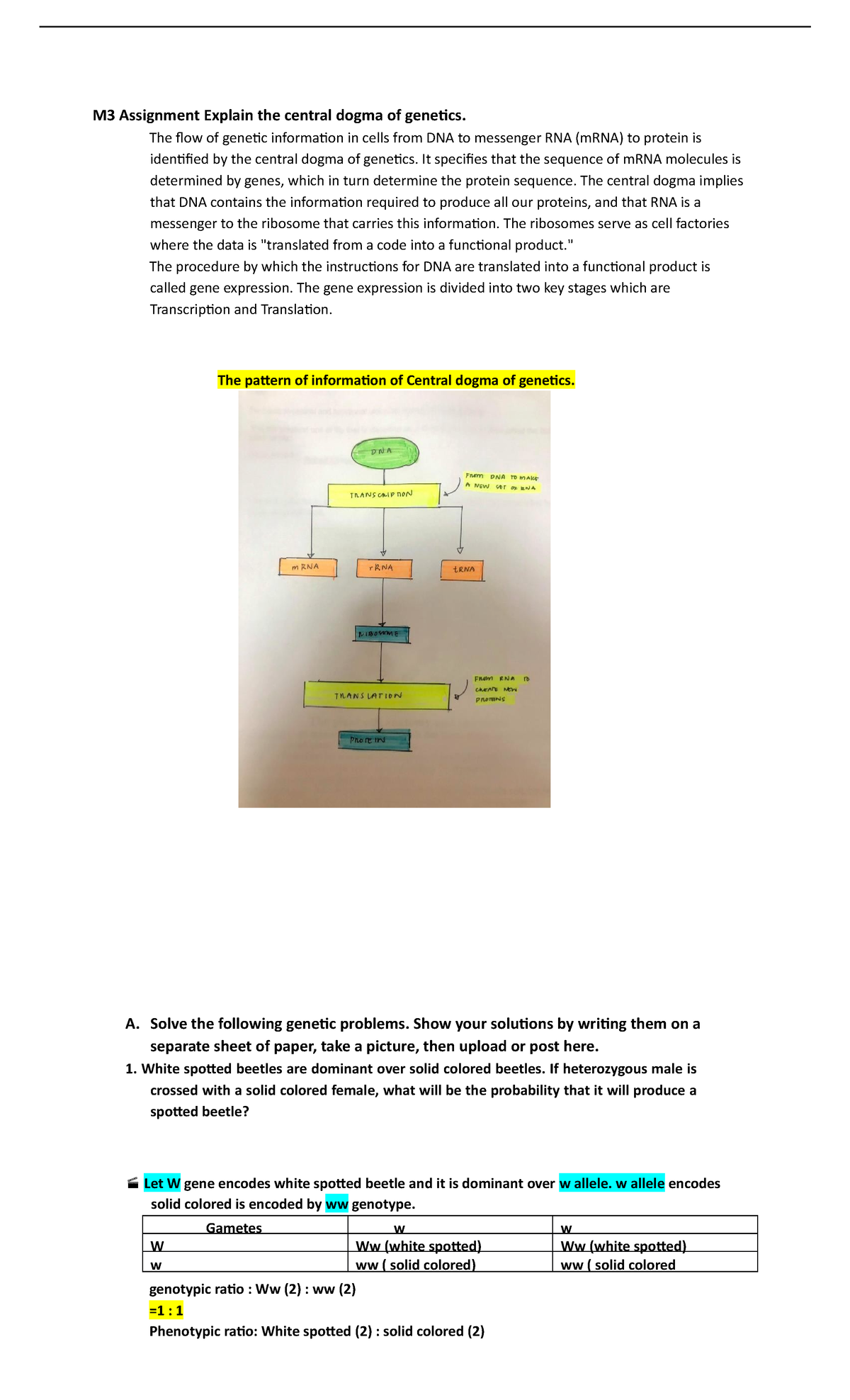 E C6k5GUqq Z 6P - Lecture Notes - M3 Assignment Explain the central ...