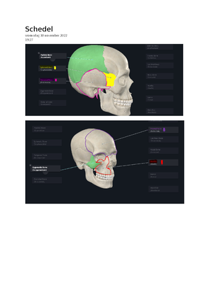 endocrien stelsel - 1. - Studocu