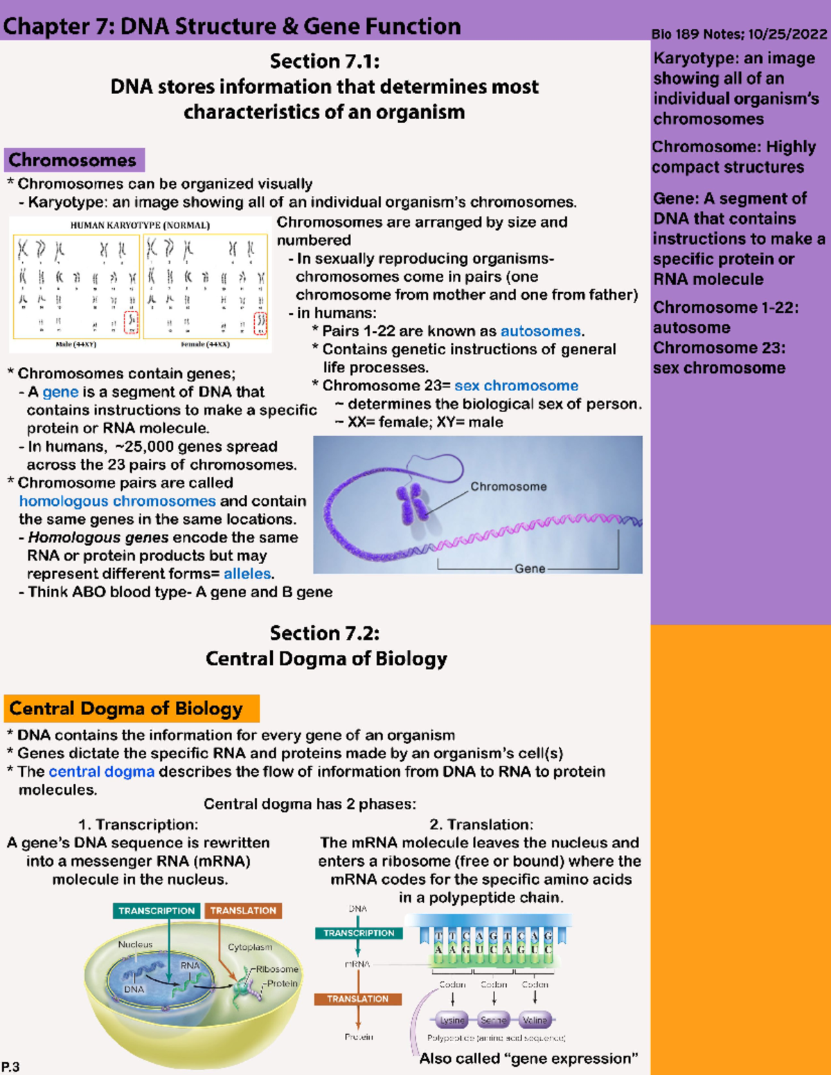 Chapter 7: Section 2: Central Dogma of Biology - Chapter 7: DNA ...