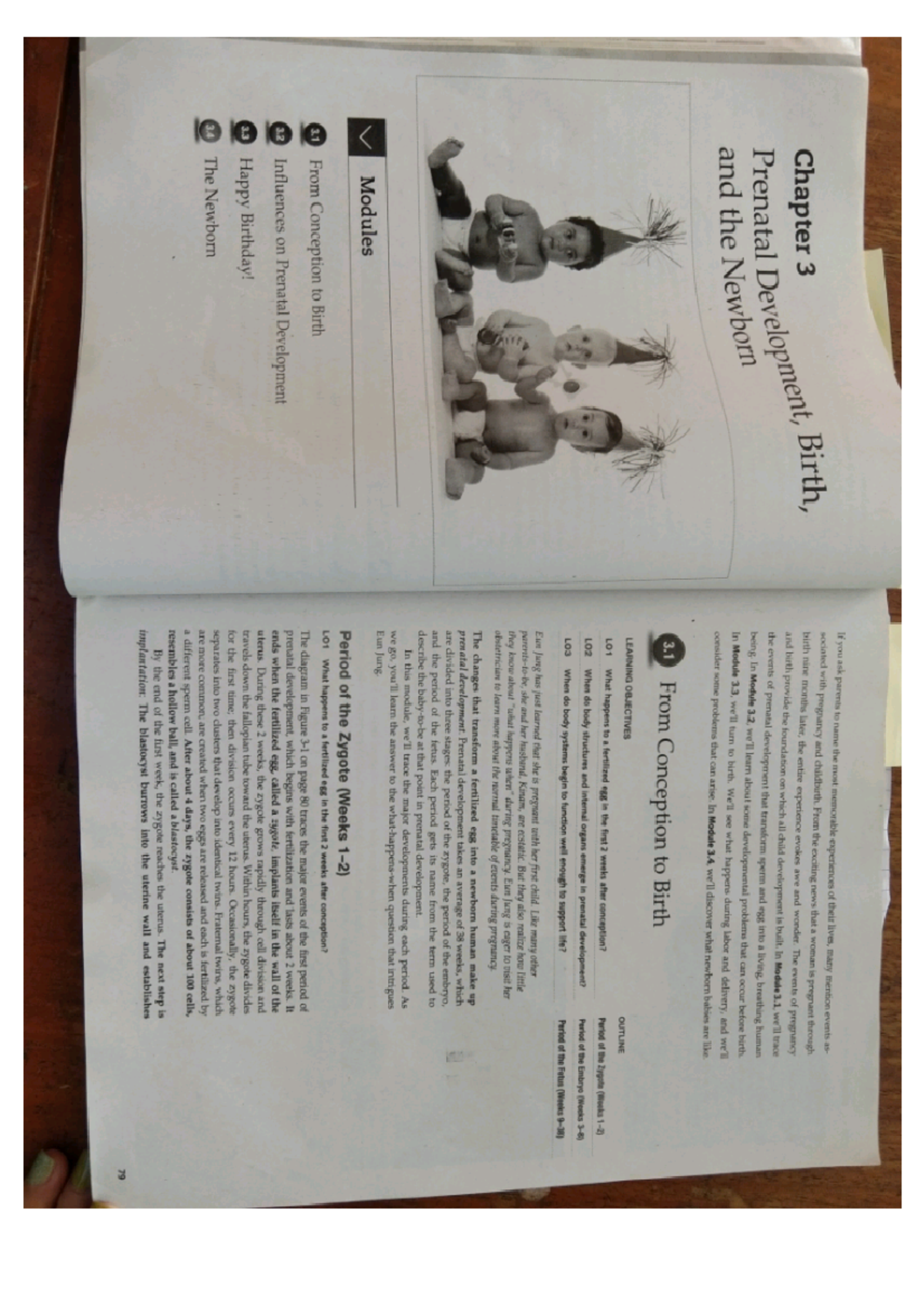 Child AND Development - Bachelor of Early Childhood Education - Studocu