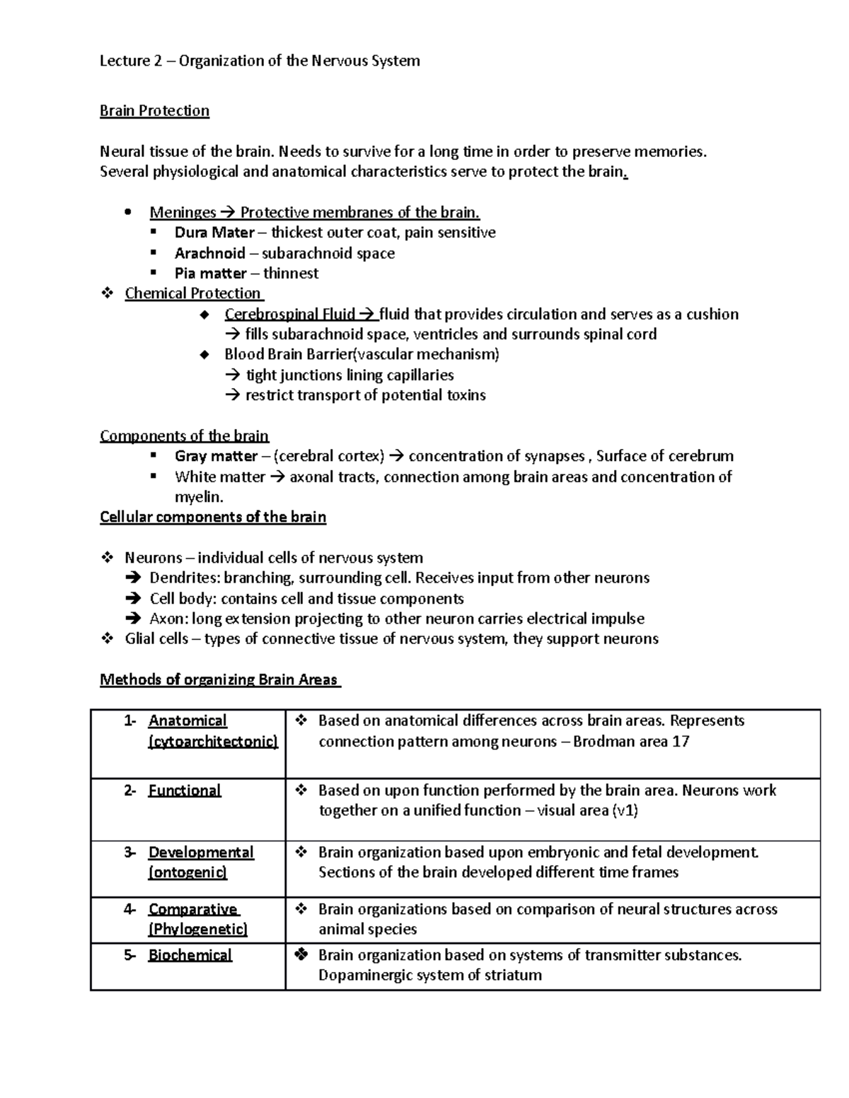 Brain Protection - lecture notes - Lecture 2 – Organization of the ...