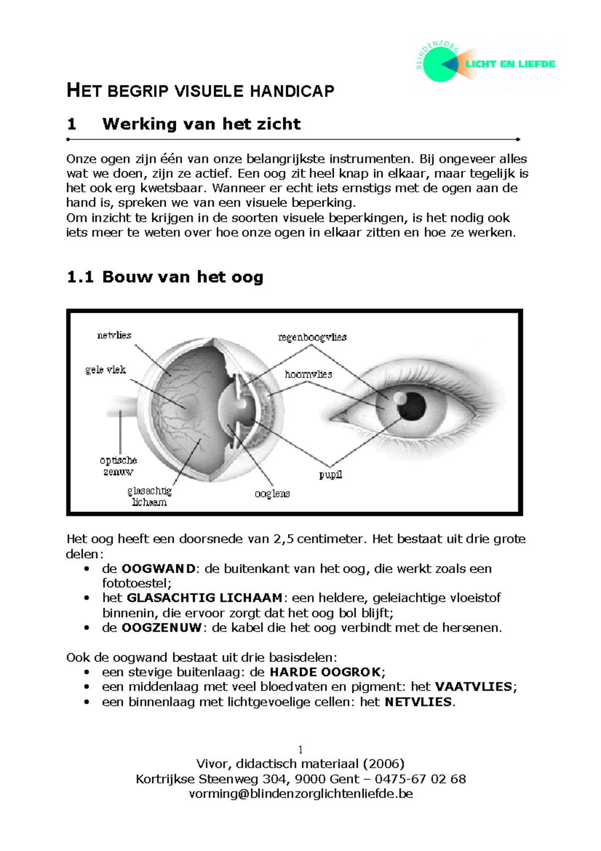 Het begrip visuele handicap - HET BEGRIP VISUELE HANDICAP 1 Werking van ...