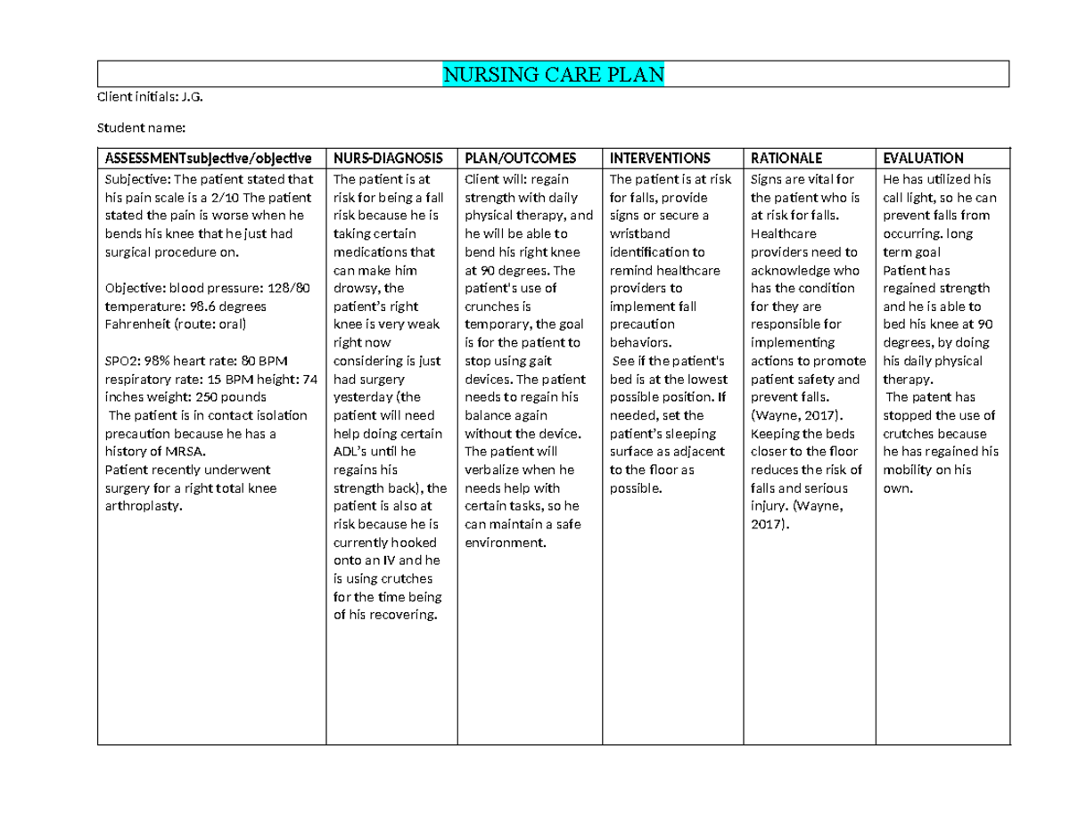 Nursing CARE PLAN Template - NURSING CARE PLAN Client initials: J ...