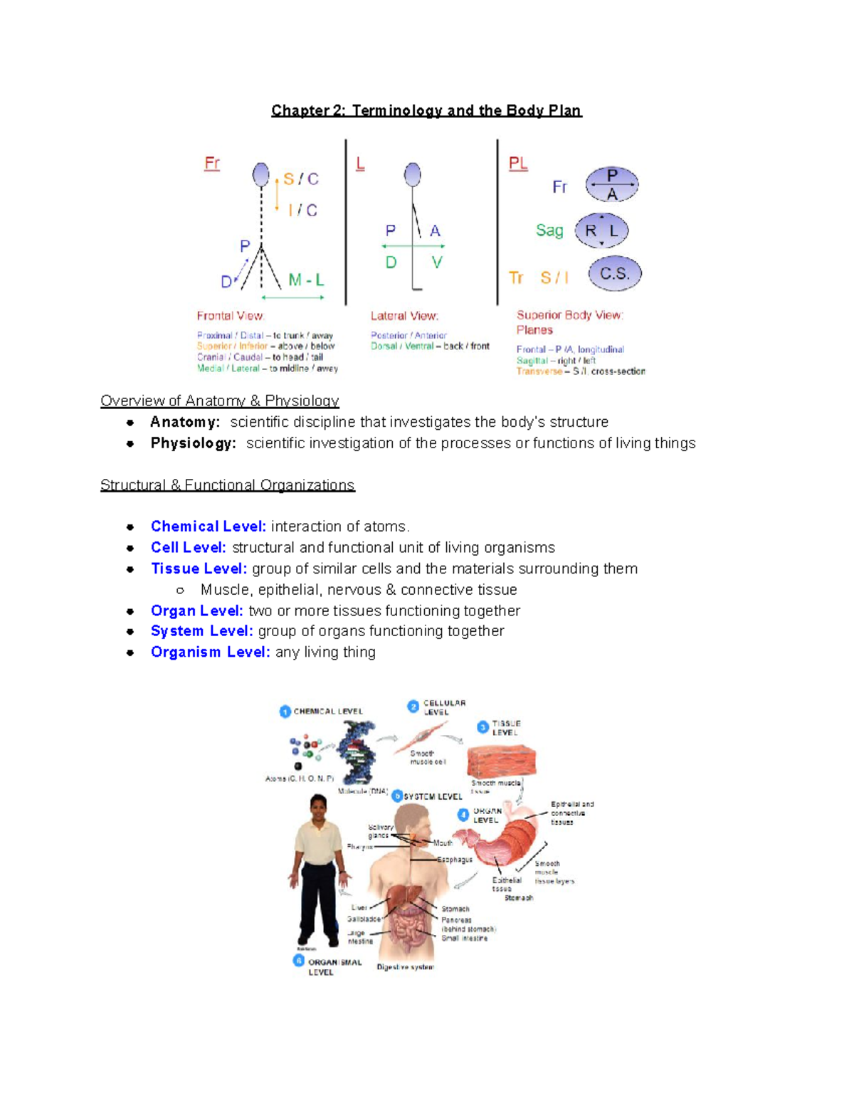 Chapter 2 Terminology and the Body Plan - Cell Level: structural and ...
