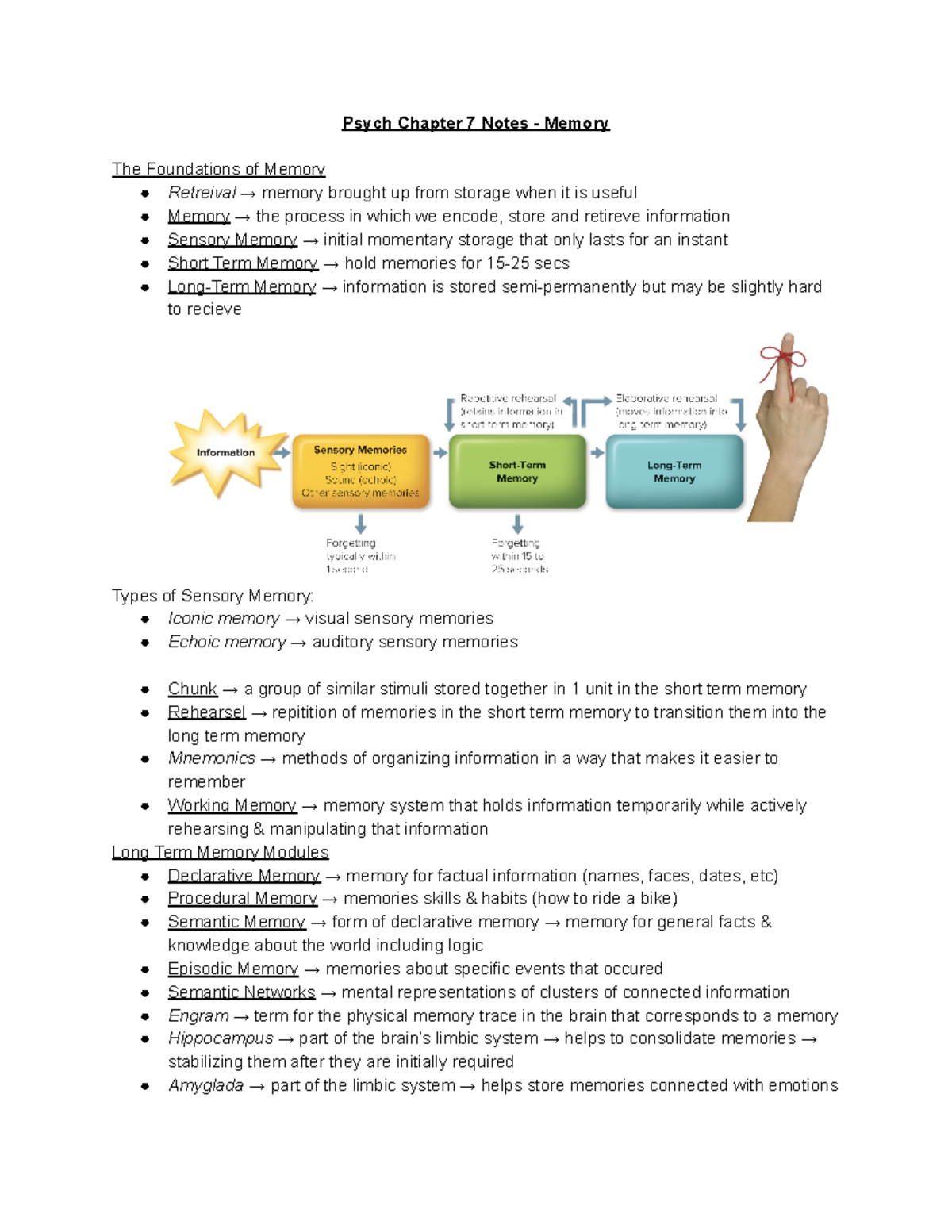 Psych Chapter 7 Notes - Psych Chapter 7 Notes - Memory The Foundations ...