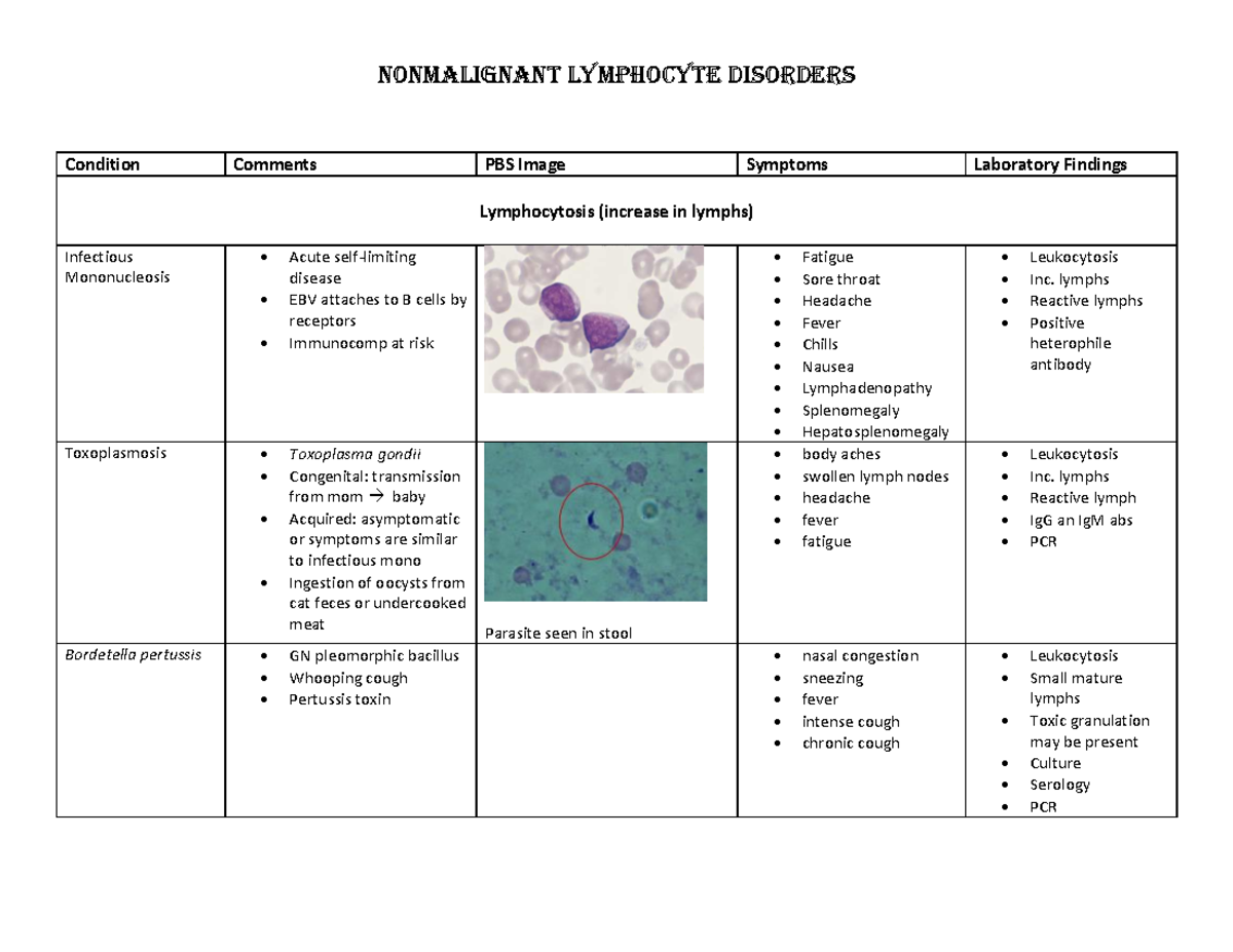 MLS 401 Nonmalignant Lymphocyte Disorders Chart - Nonmalignant ...