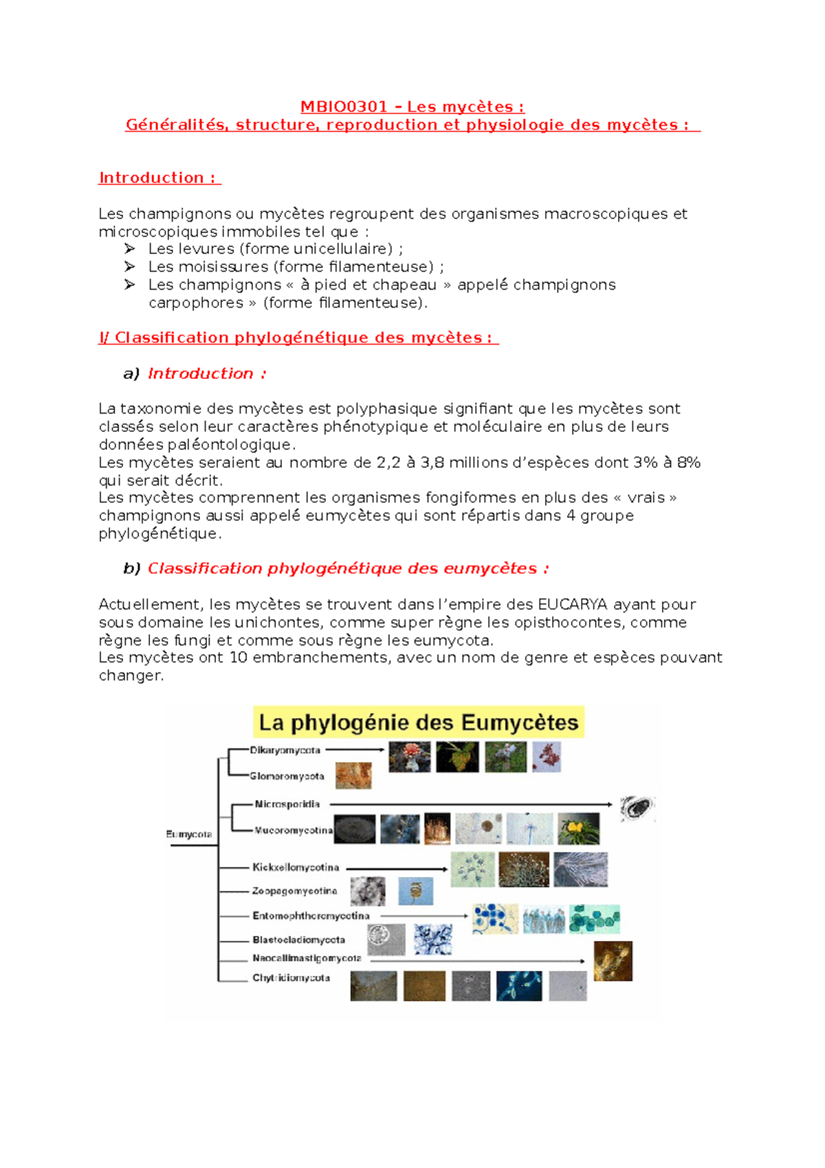 MBIO0301 - les mycètes - MBIO0301 – Les mycètes : Généralités ...