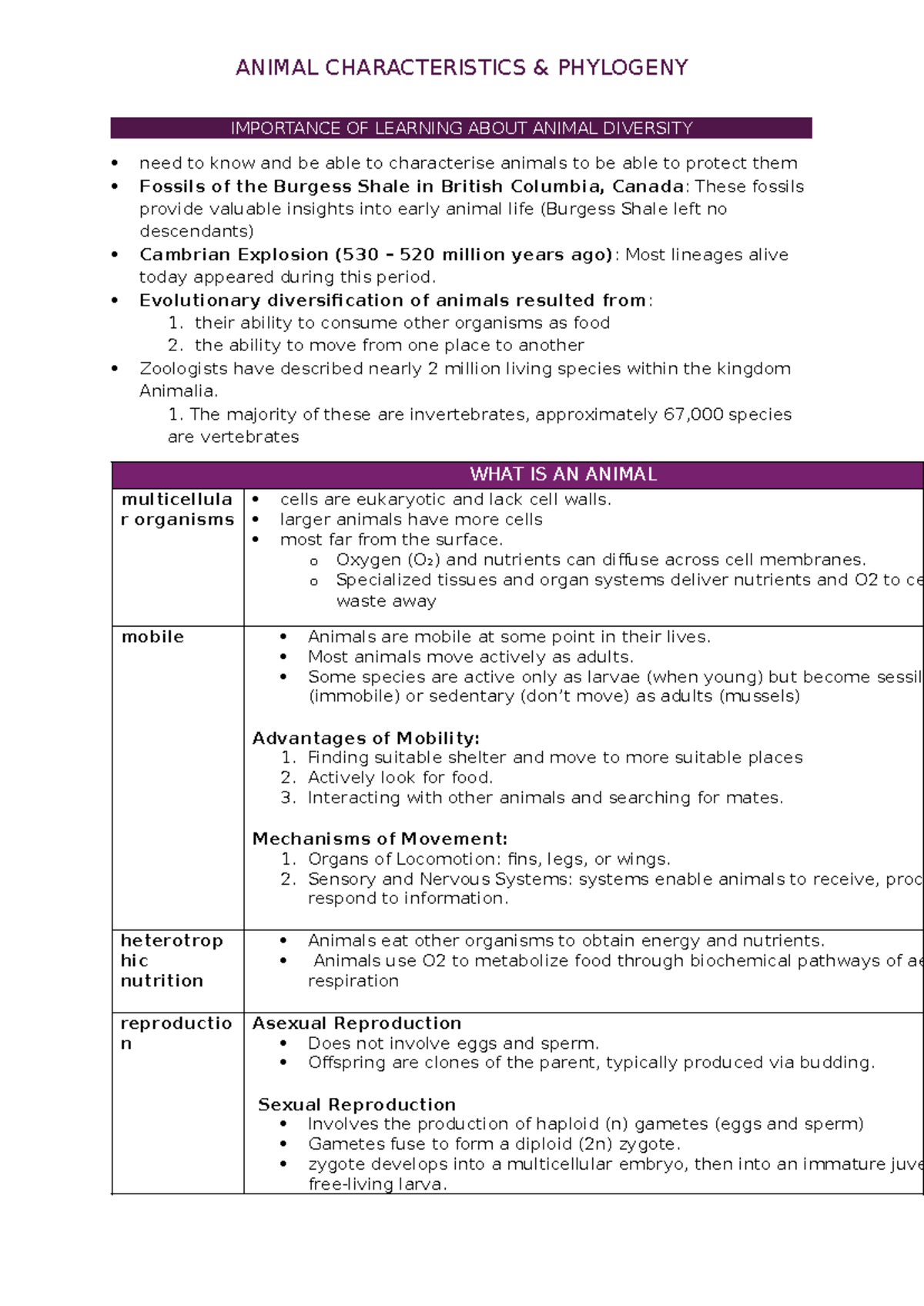 Animal characteristics - IMPORTANCE OF LEARNING ABOUT ANIMAL DIVERSITY ...
