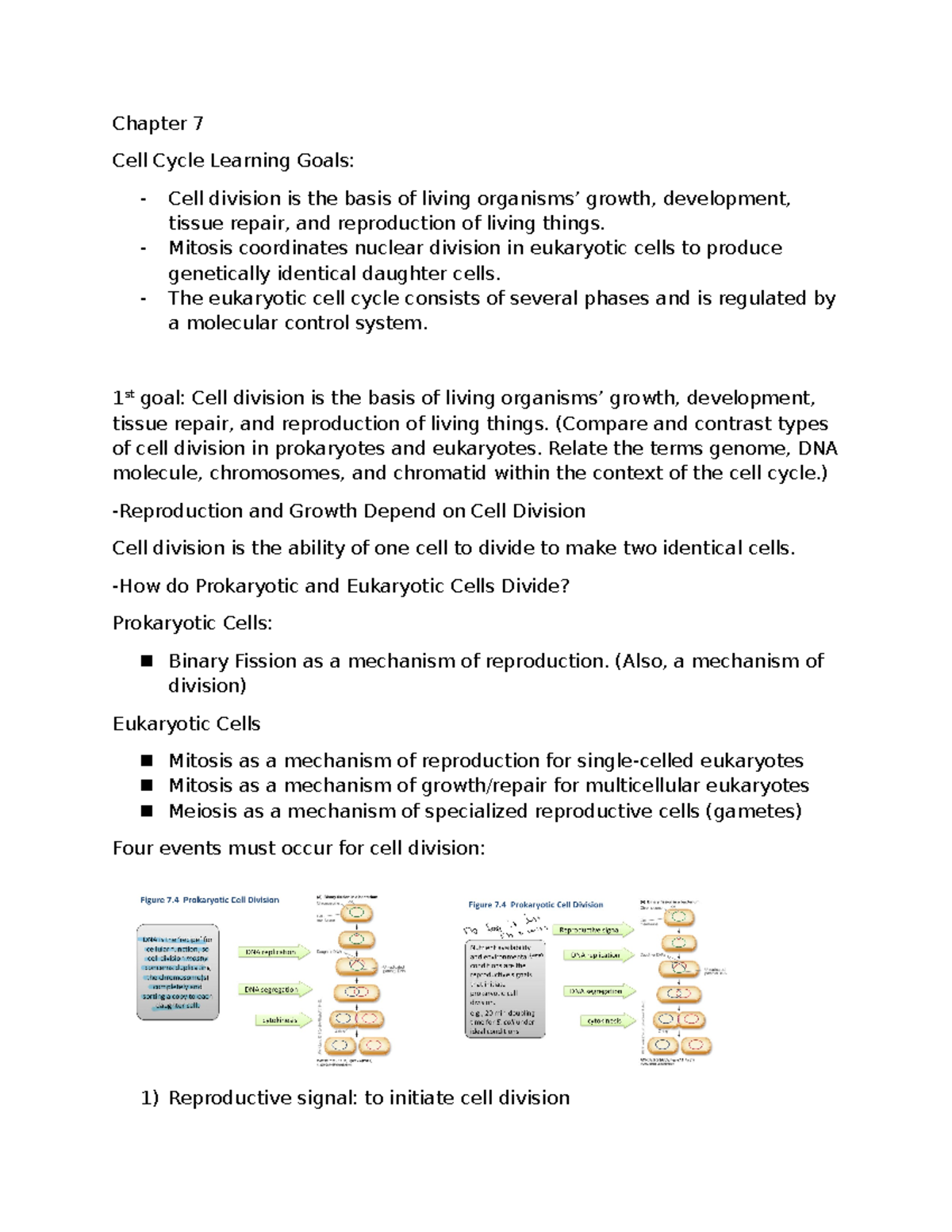 Bio Exam 2 Notes - Chapter 7 Cell Cycle Learning Goals: - Cell division ...