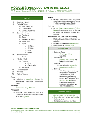 Pediatric Week 6 - BLOCK 3- PEDIATRIC Pt ASSESSMENT: objective pt. 1i ...