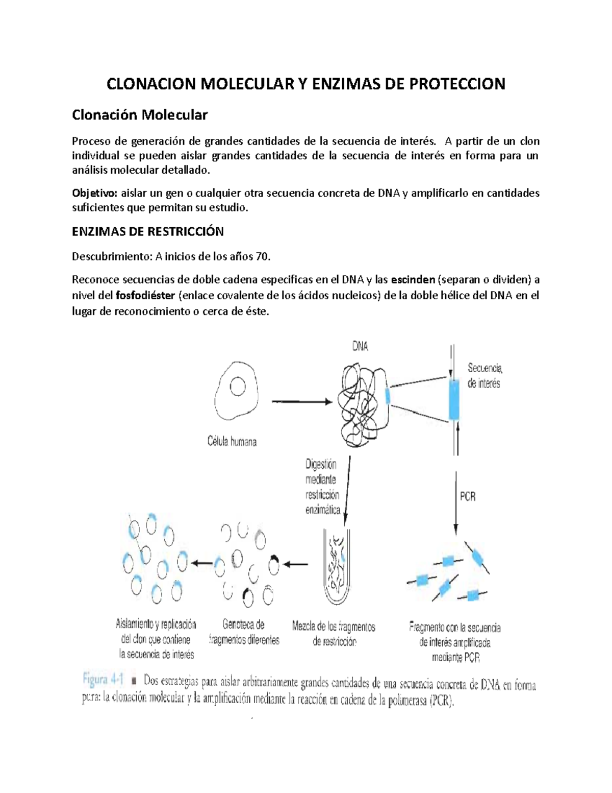 Clonacion Molecular Y Enzimas DE Proteccion - CLONACION MOLECULAR Y ...