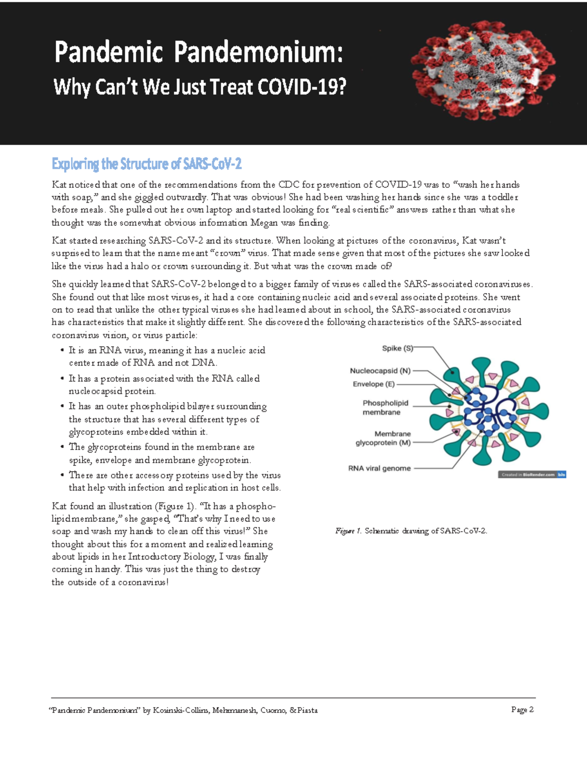EC Assignment Feb 2022 - “Pandemic Pandemonium” by Kosinski-Collins ...