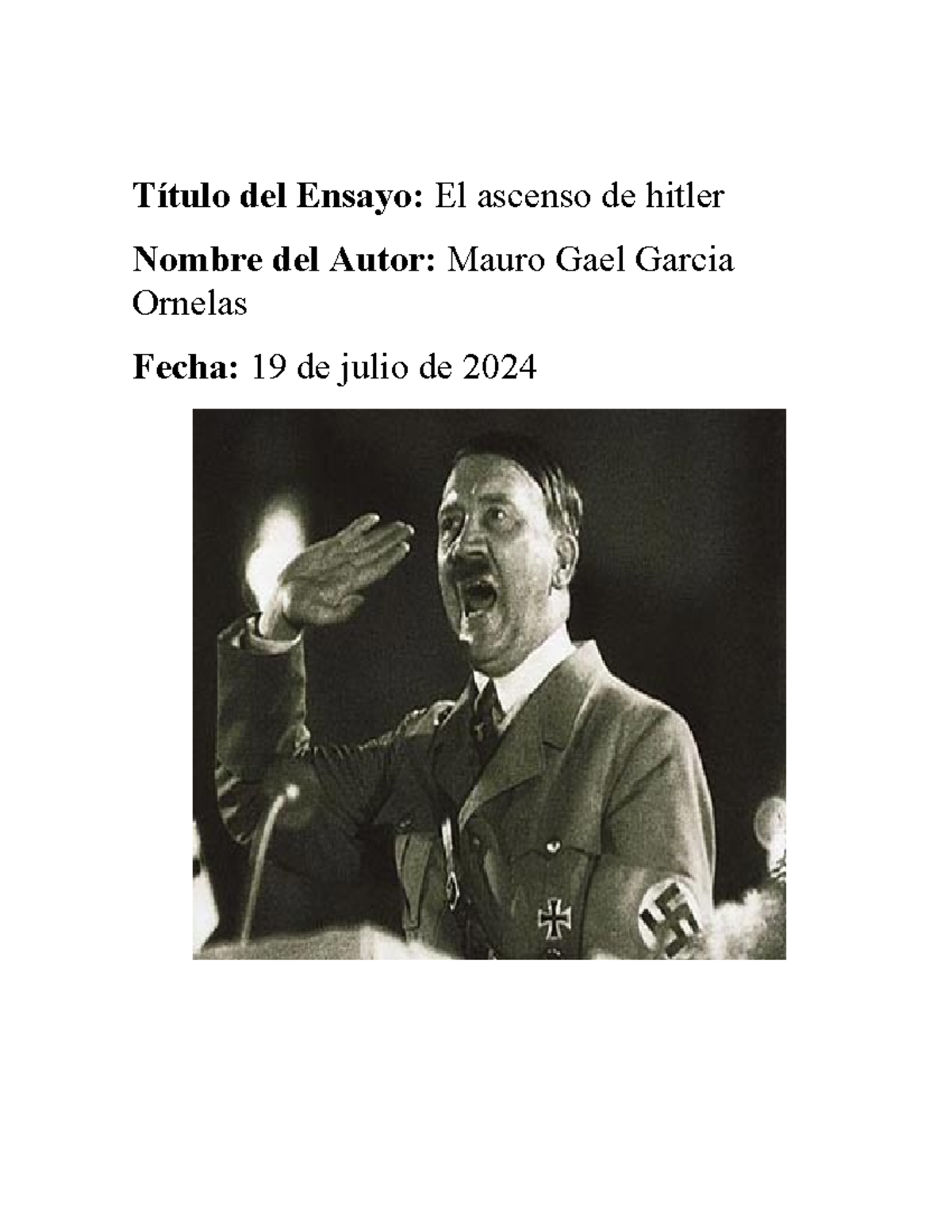Ensayo sobre hitler - Título del Ensayo: El ascenso de hitler Nombre ...