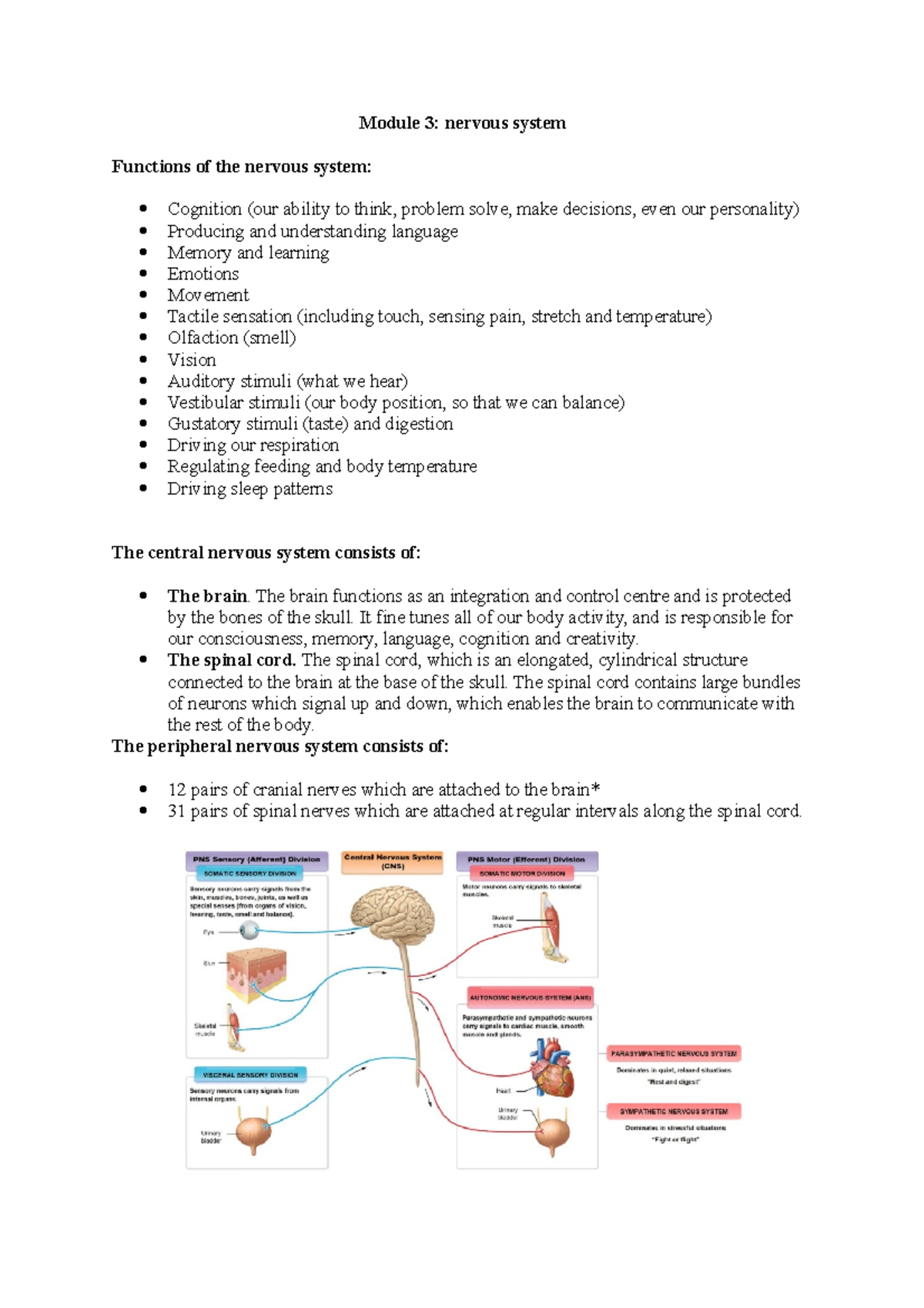 Module 3-AP2 - nervous system - Module 3: nervous system Functions of ...