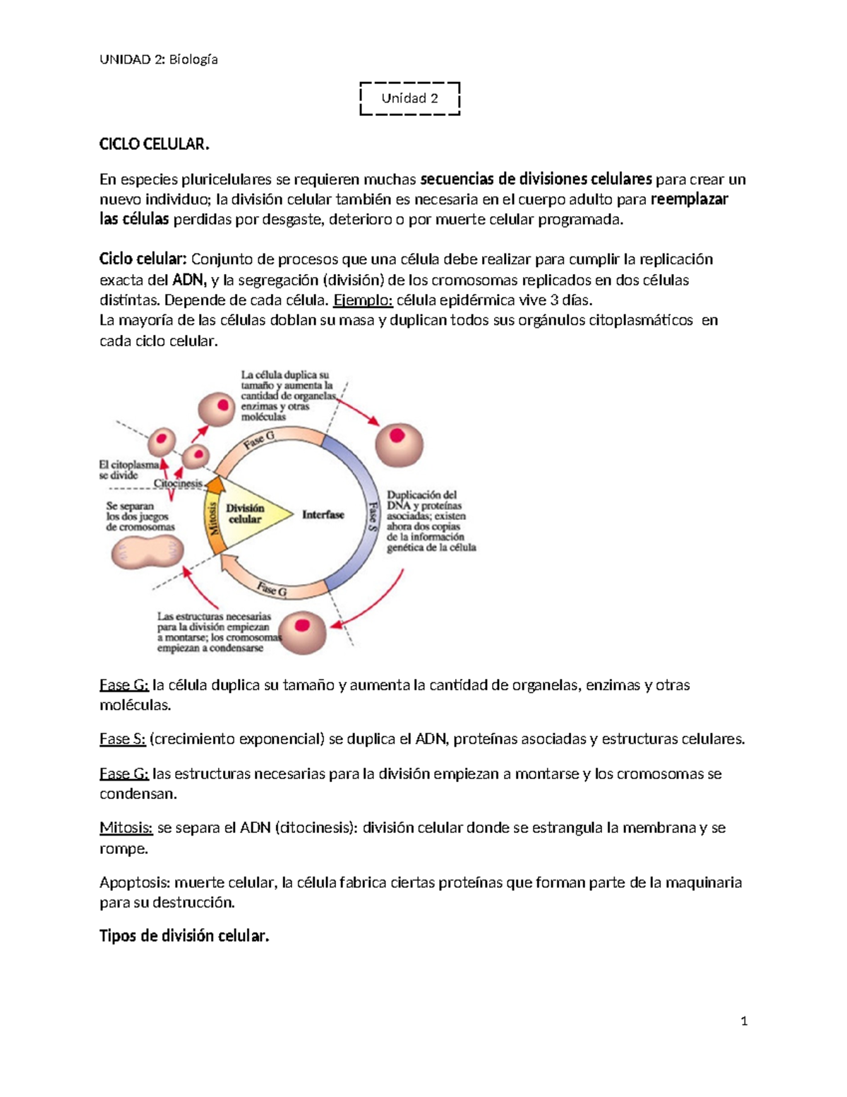 Unidad 2 Biologia - ........................................... - CICLO ...