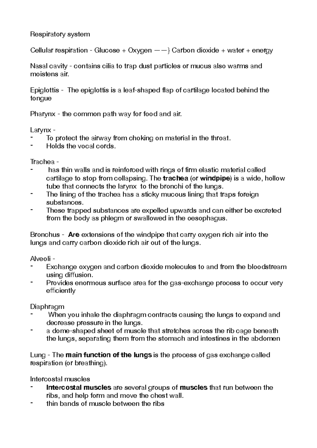 Respiratory system - organs and their functions - Respiratory system ...
