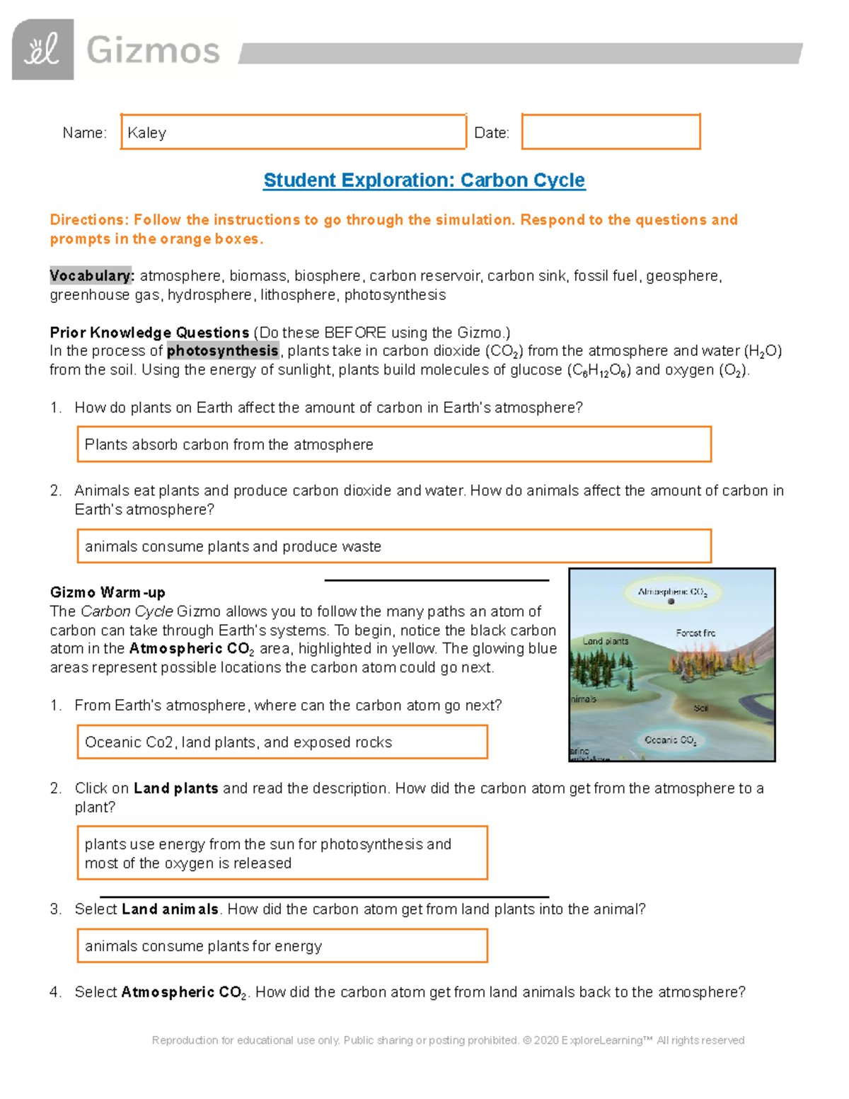 Caroncycles - gizmo - Name: Kaley Date: Student Exploration: Carbon ...