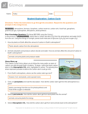 Photosynthesis Practice Questions (With Answers) - Photosynthesis ...
