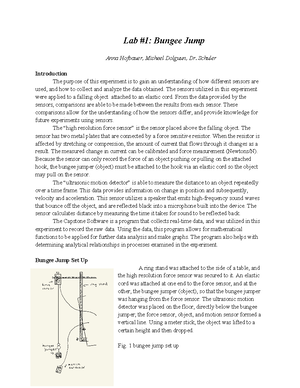 Forces Lab - force lab - PHYS 1310 - Studocu