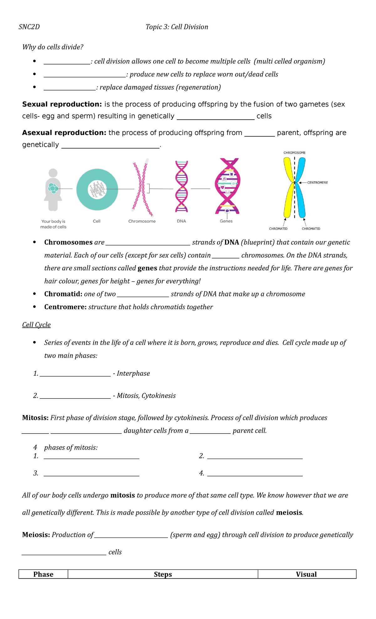 Topic 3 Cell Division Note - SNC2D Topic 3: Cell Division Why do cells ...