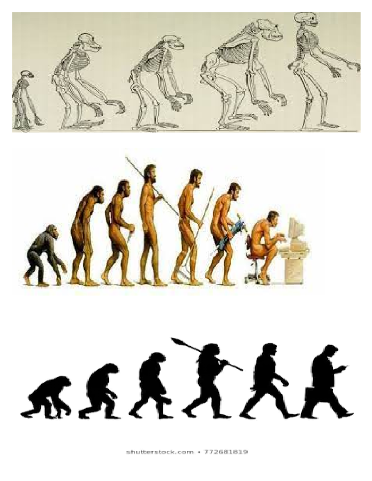 Anthropology - for academic purposes only - Anthropology is the study ...