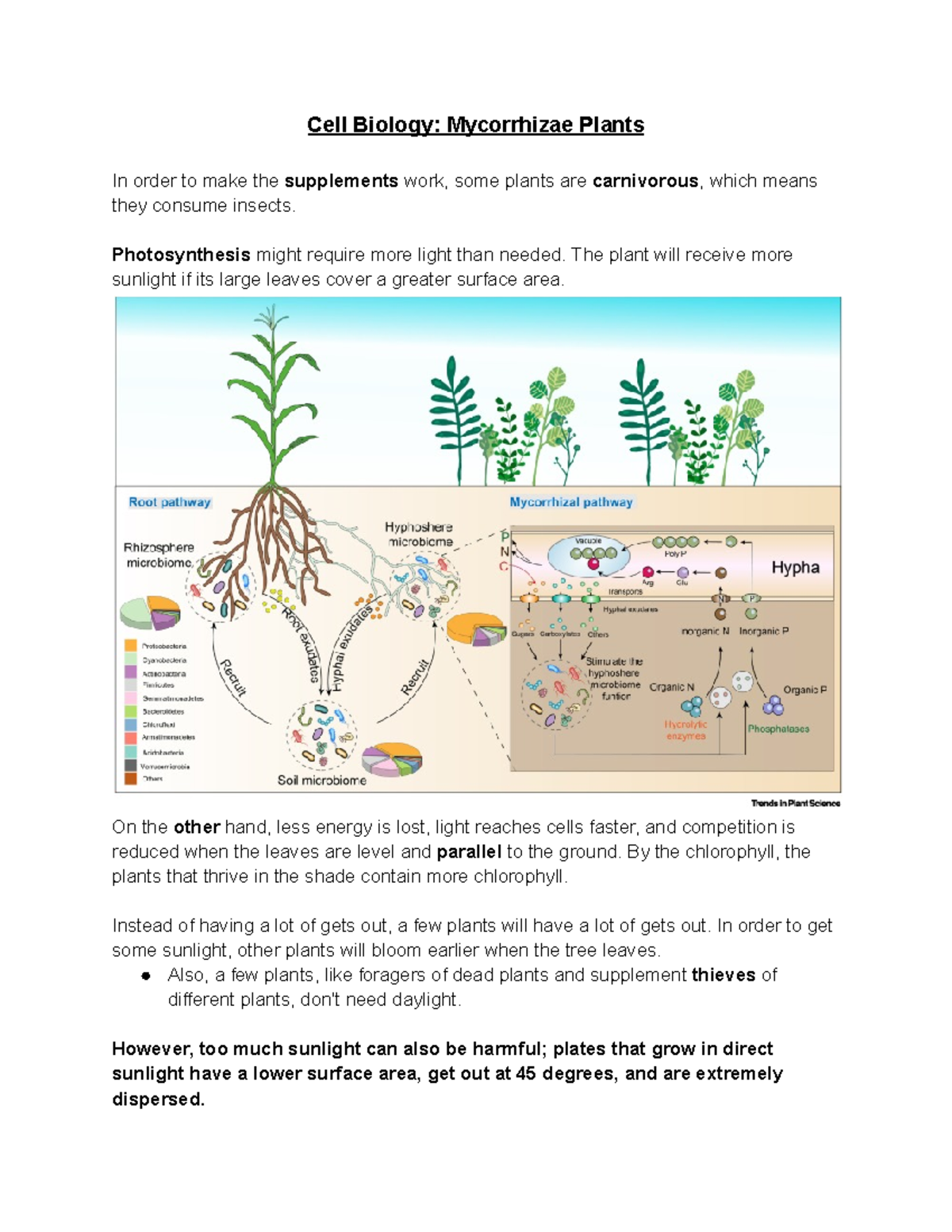 Cell Biology Mycorrhizae Plants - Photosynthesis might require more ...