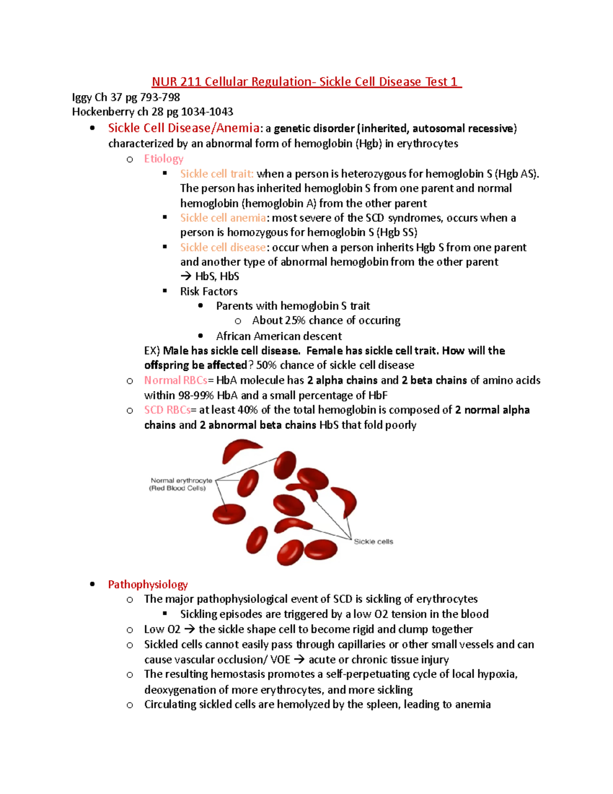 NUR 211 Cellular Regulation- Test 1 - NUR 211 Cellular Regulation ...