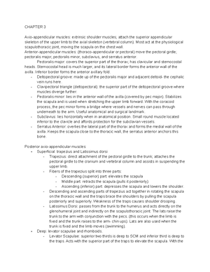 Moore's Clinical Anatomy Chapter One - Approaches to Studying Anatomy ...