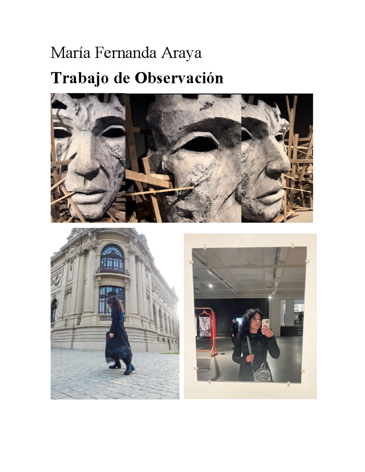 Trabajo 1 - Primera evaluación de observación - María Fernanda Araya ...