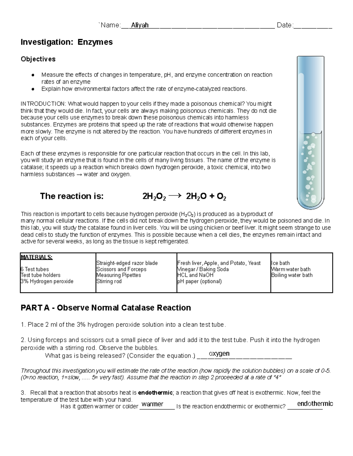 Enzymes and Hydrogen Peroxide - CER - `Name ...