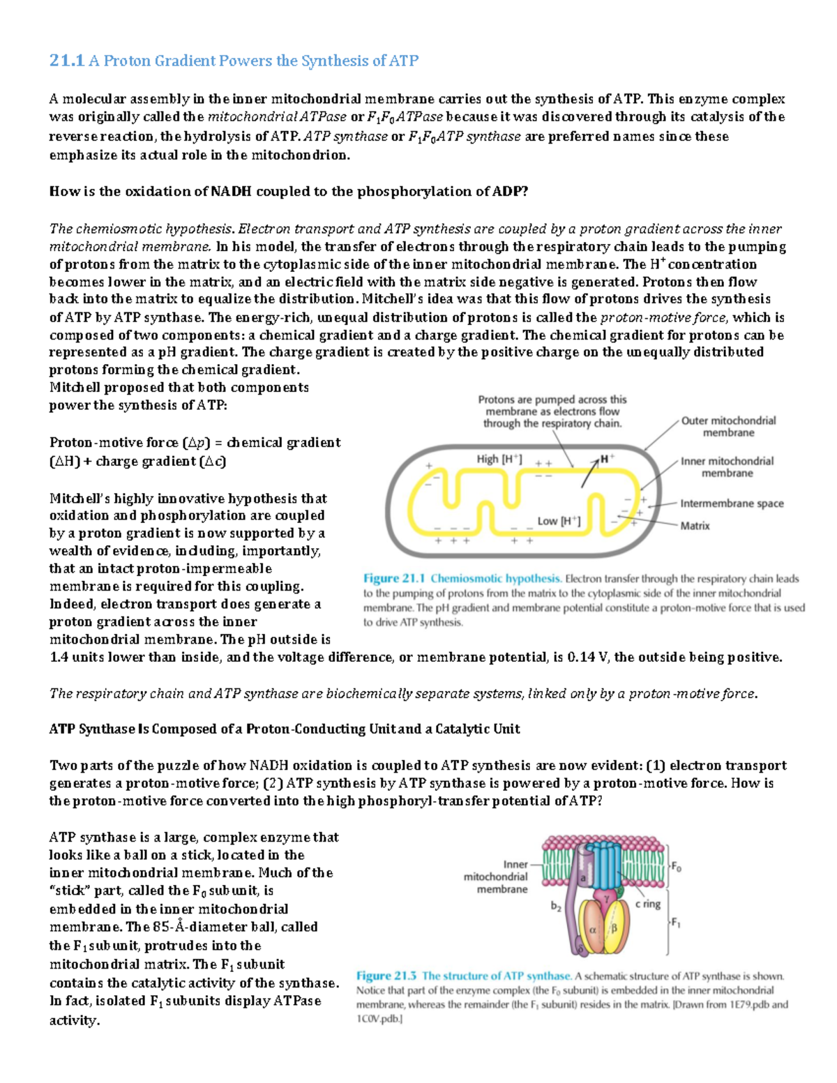 Chapter 21 - ATP synthesis - 21 A Proton Gradient Powers the Synthesis ...