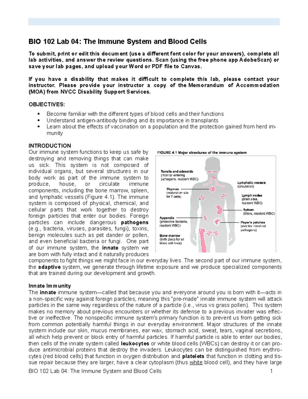 BIO 102 Lab 04, The Immune System and Blood Cells - BIO 102 Lab 04: The ...