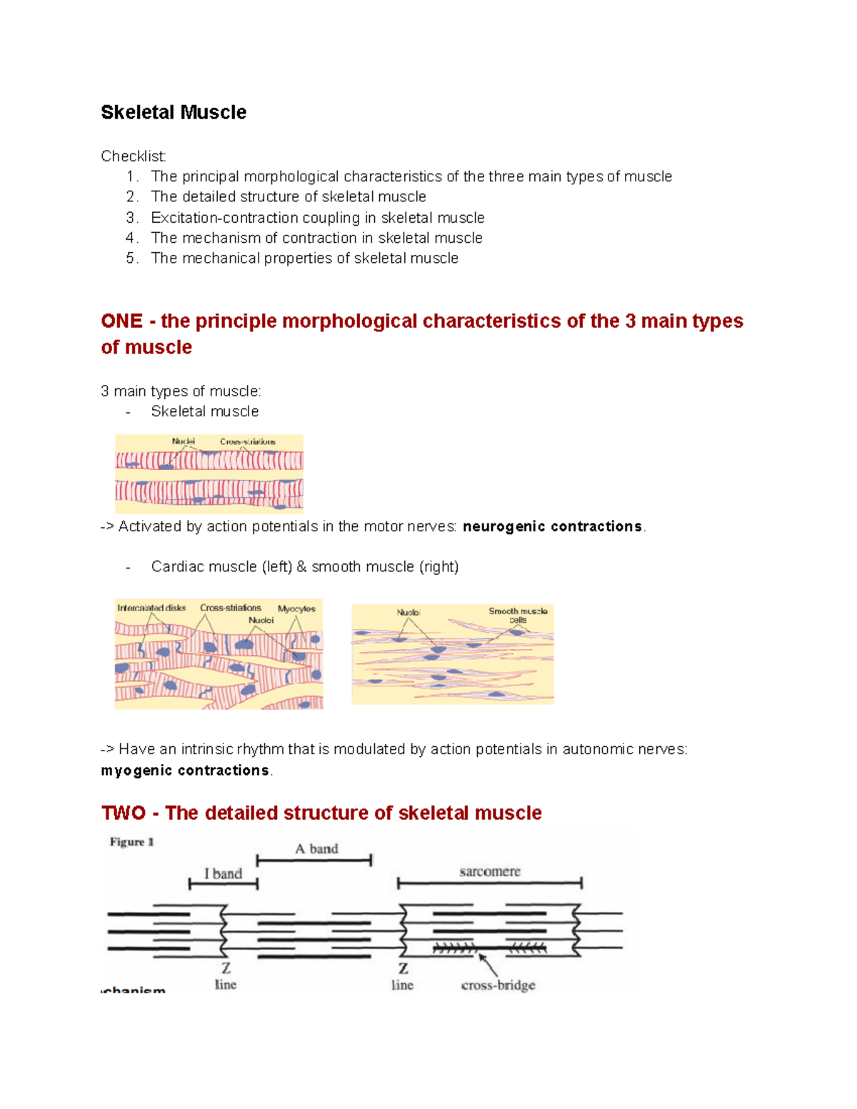 Skeletal Muscle - Skeletal Muscle Checklist: 1. The principal ...