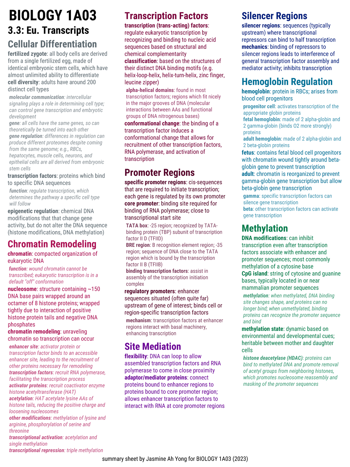 biology1a03 theme three - 3: Eu. Transcripts BIOLOGY 1A Cellular ...