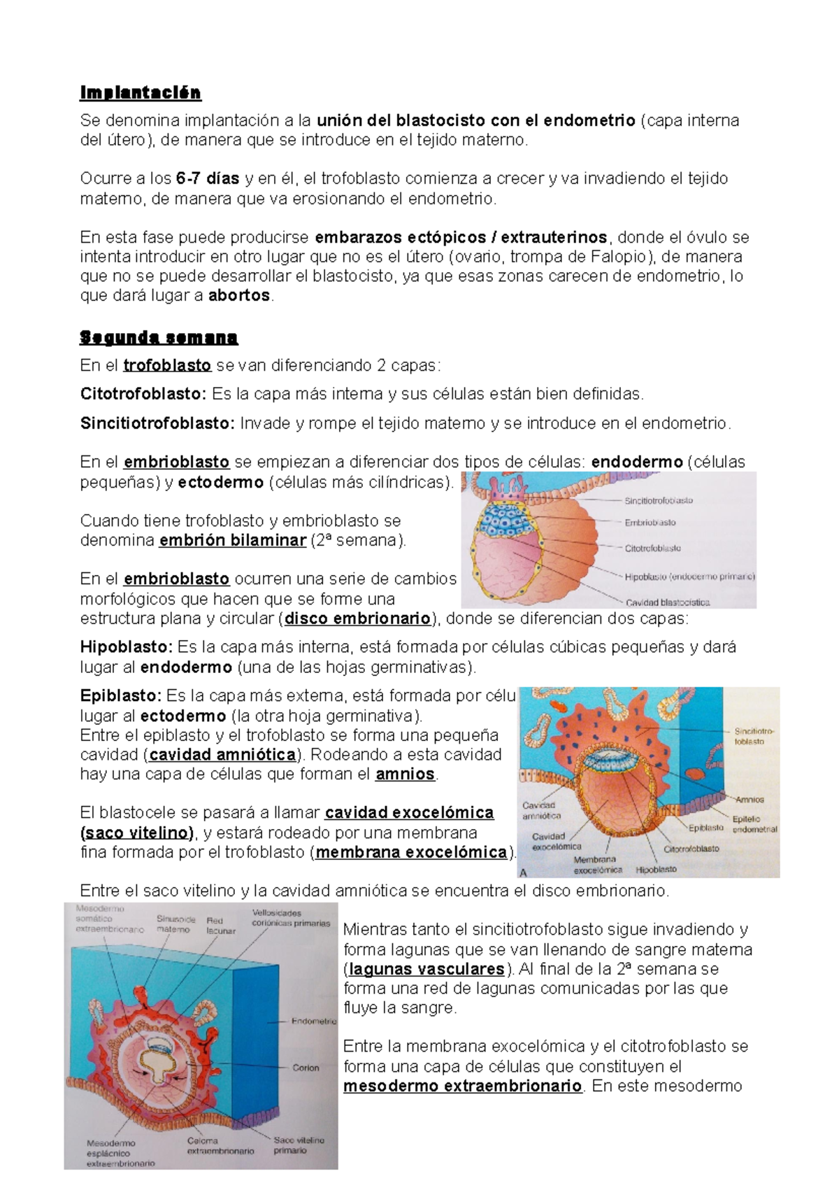 Embriología. Implantación y 2º semana - Implantación Se denomina ...