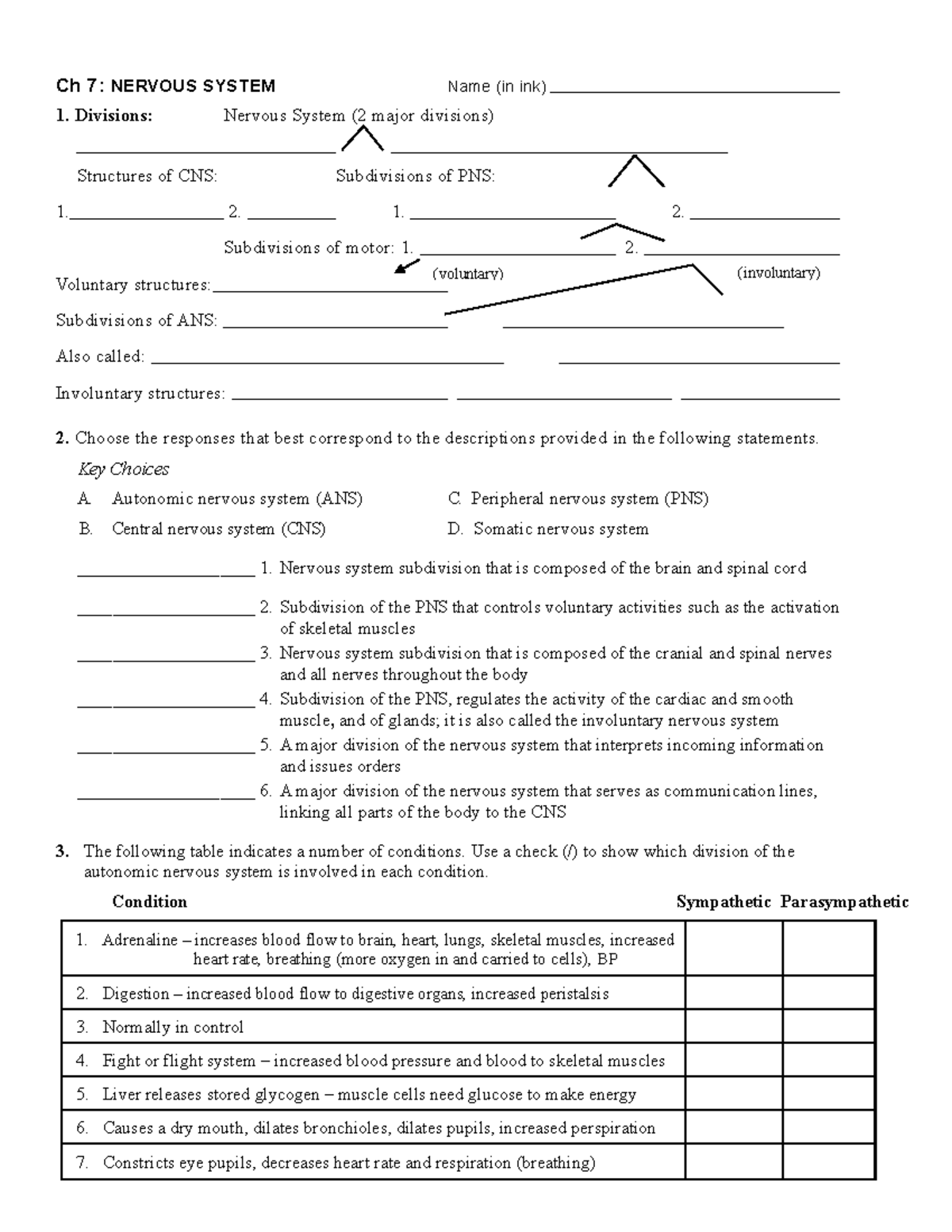Nervous Coloring Packet 2019 - Ch 7: NERVOUS SYSTEM Name (in ink) 1 ...