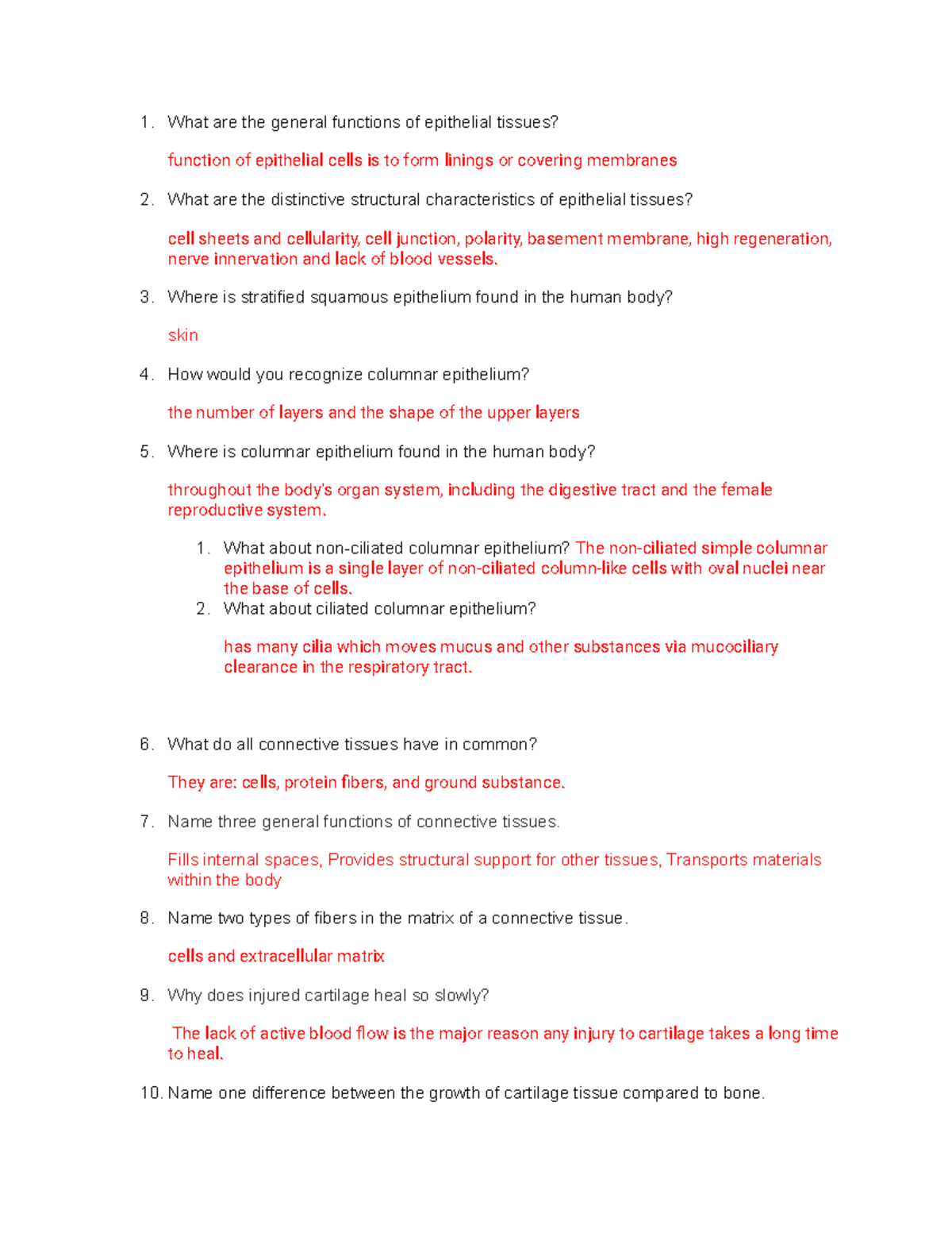 Answer key to work - What are the general functions of epithelial ...