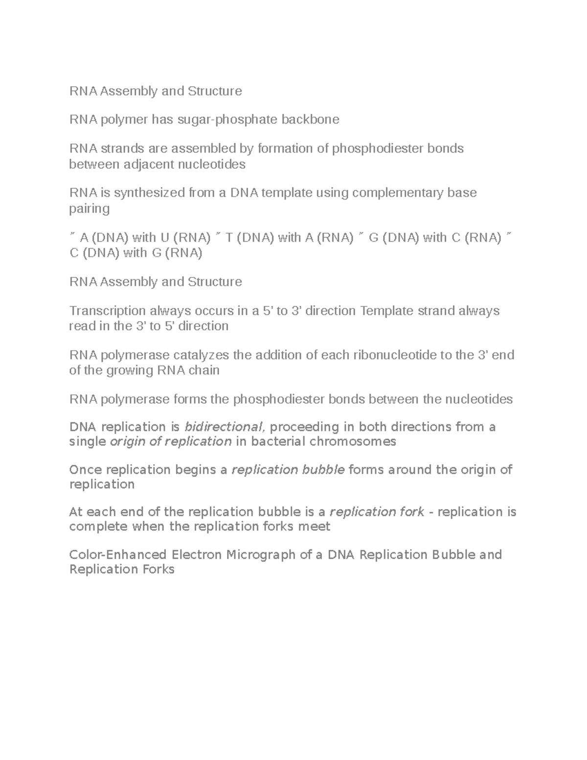 Replication notes - genetics - RNA Assembly and Structure RNA polymer ...